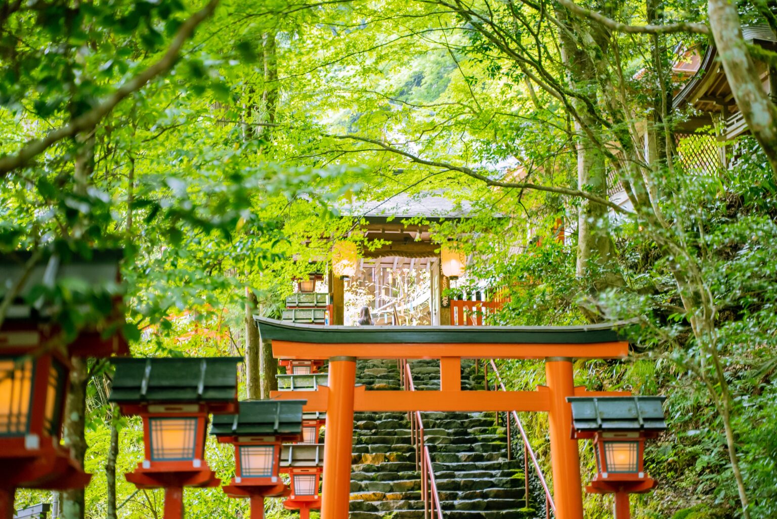 International Fellowships for Research in Japan | Strasbourg Office – Japan Society for ...